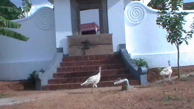 Sopanam Arts | Traditional Kerala Home Designs | Banglore Based Kerala ...